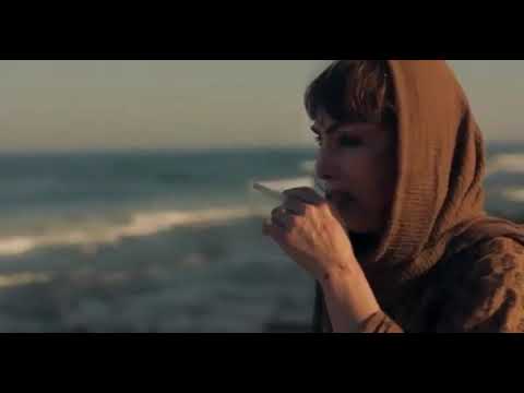 Seyda Perincek-Behra Wane