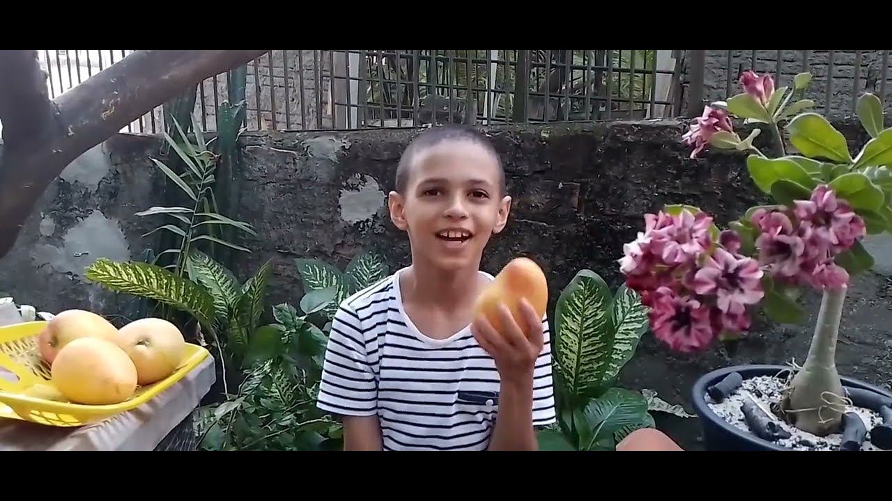 A manga rosa e seus benefícios - YouTube