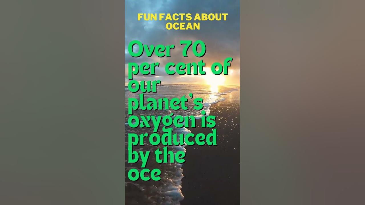Fun Facts About Sea YouTube fun-facts-about-sea-youtube