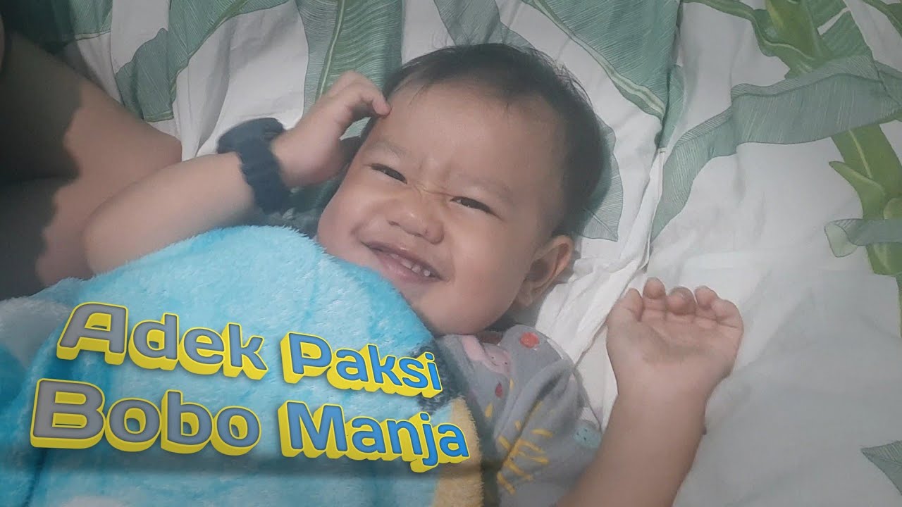 Adek Paksi Tidur Tiduran Manja Sama Buyah Youtube