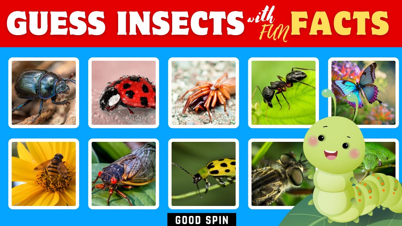 Guess 50 Insects in 5 Seconds with FUN Facts! Easy to Impossible # ...