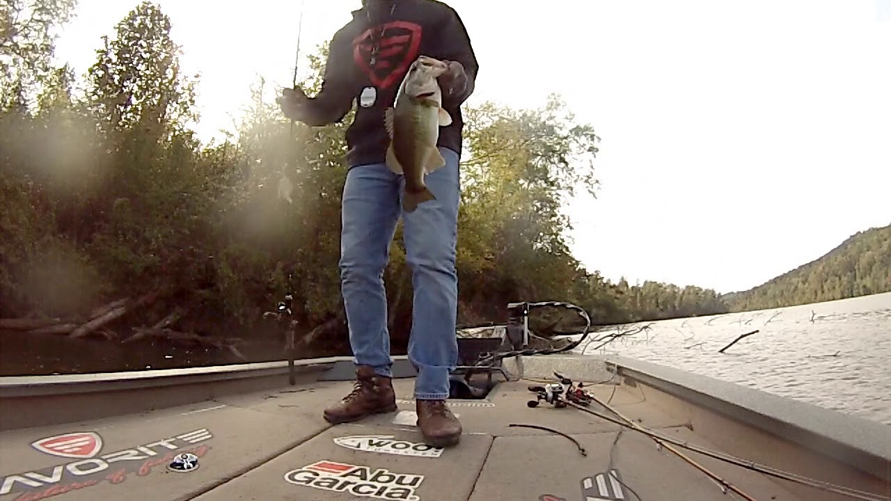 FLW/BFL Regional on lake Guntersville day 2..32nd place finish - YouTube