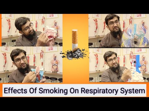 Effect of Smoking on Respiratory System | MDCAT 2025 - YouTube