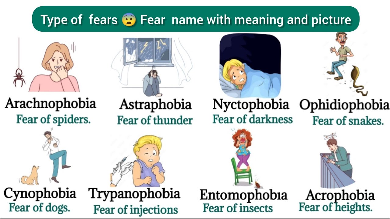 Type Of Fears | Fear Vocabulary | English Vocabulary | English Words ...