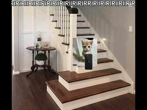 Romantik Kediler Part 2