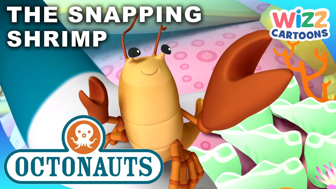 @Octonauts - The Snapping Shrimp 🦐🦀 | S1:EP15 Full Episode ...