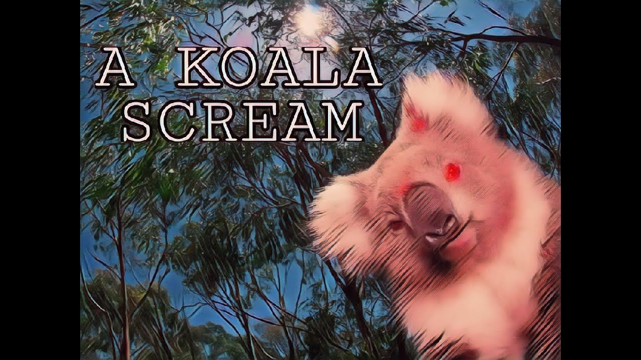 A koala scream - YouTube