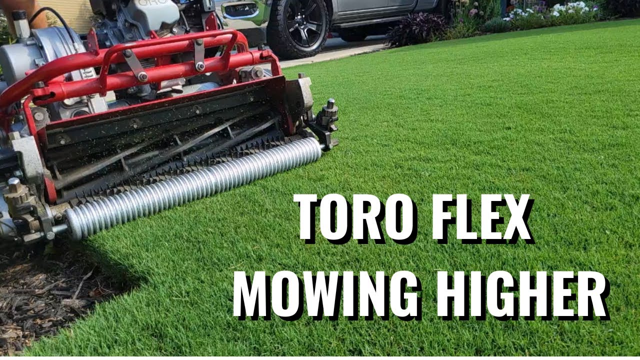 Toro Greensmaster Flex - Mowing at Higher Heights - YouTube