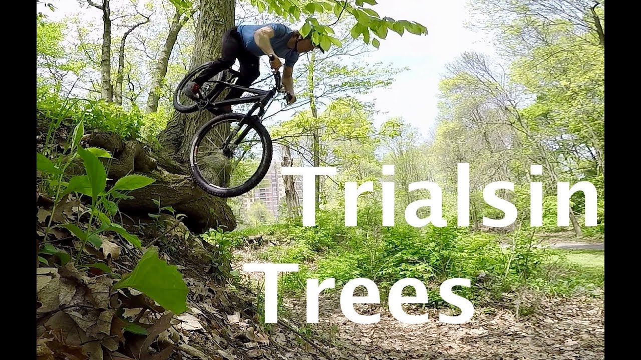 Trials, Trees, and Steez - YouTube