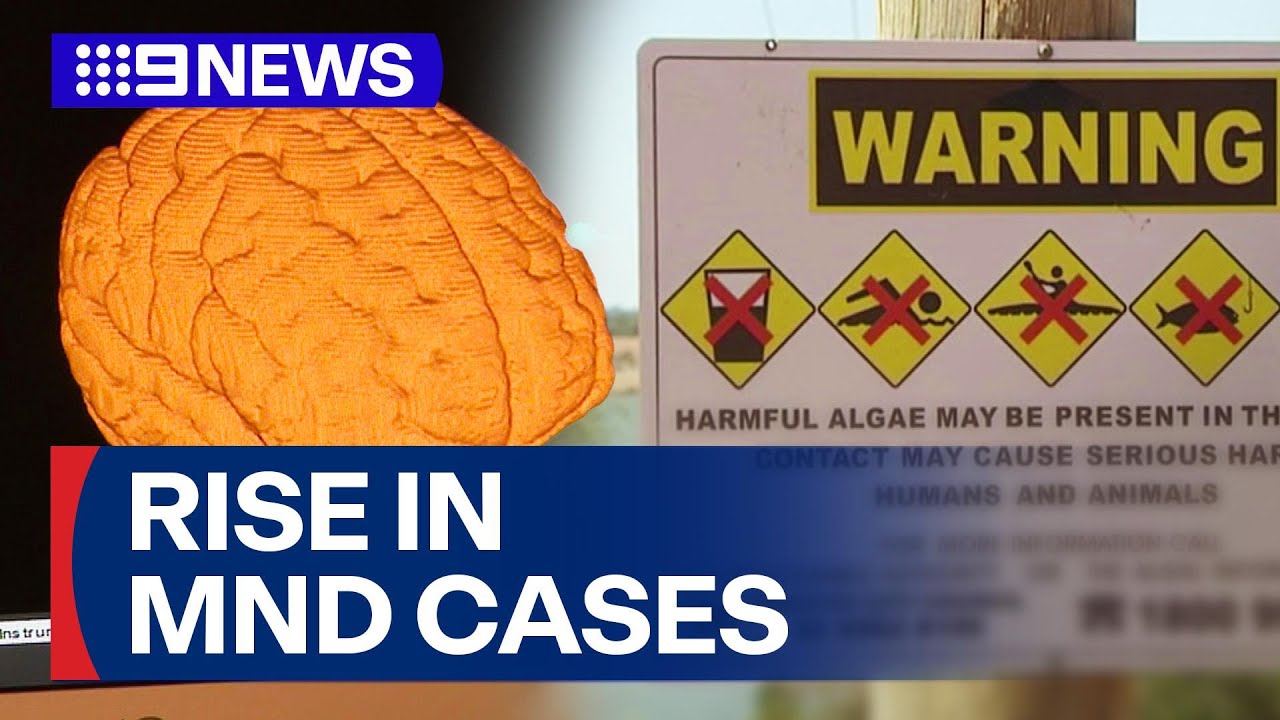 Rise in MND cases triggers concerns over suspected environmental triggers | 9 News Australia ...