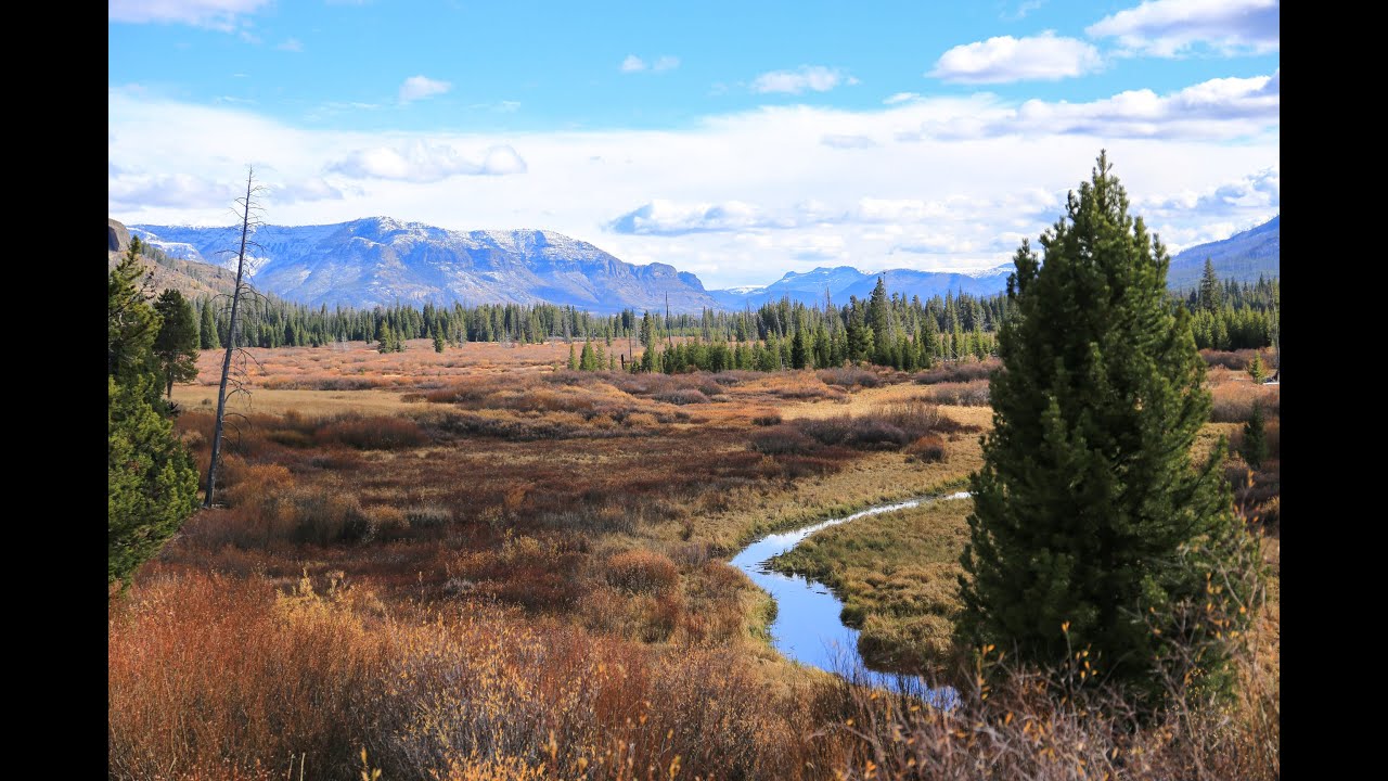 Yellowstone Thorofare - YouTube