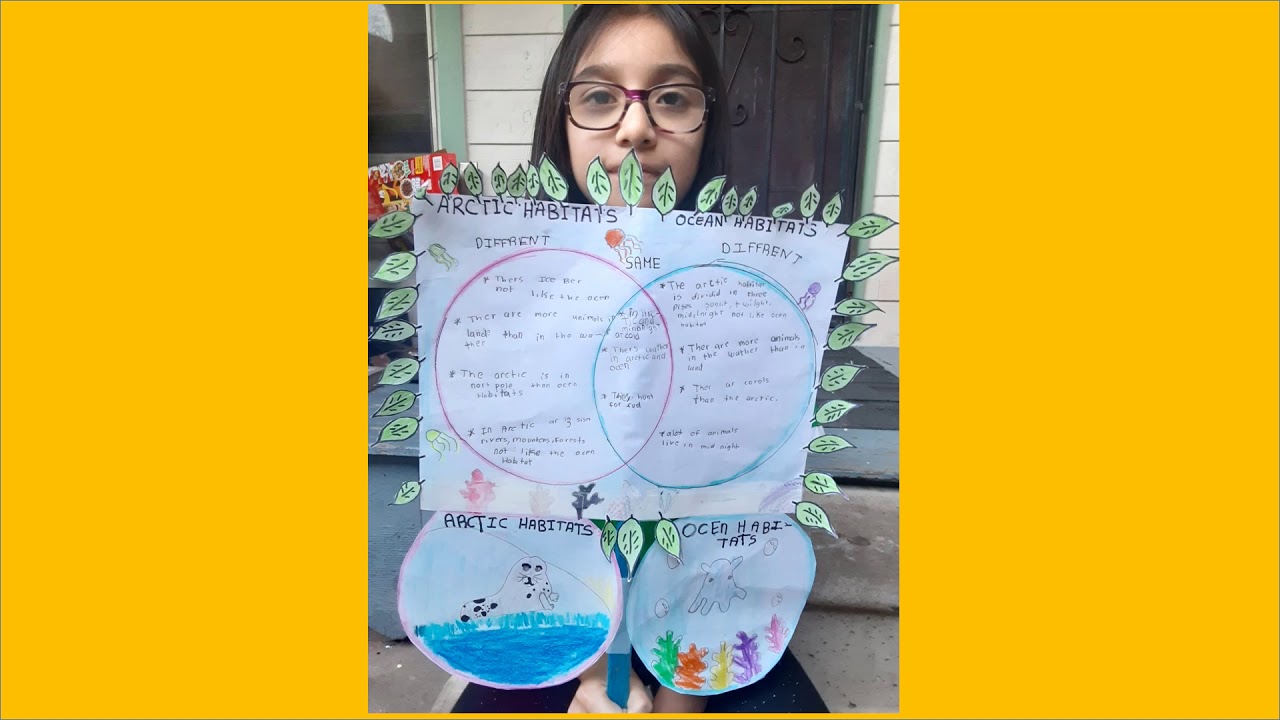 Third Grade Ecosystem Comparing Projects - YouTube