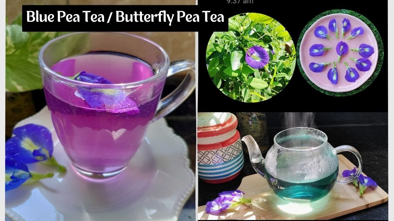 Blue Pea Tea | Butterfly Pea Tea | Aparajita Flower Recipe ...