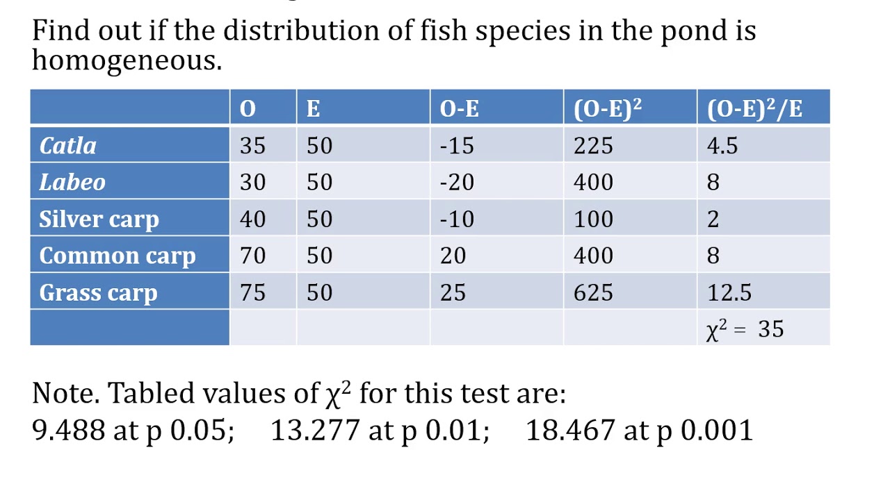 Exercise Chi Square Analysis - YouTube