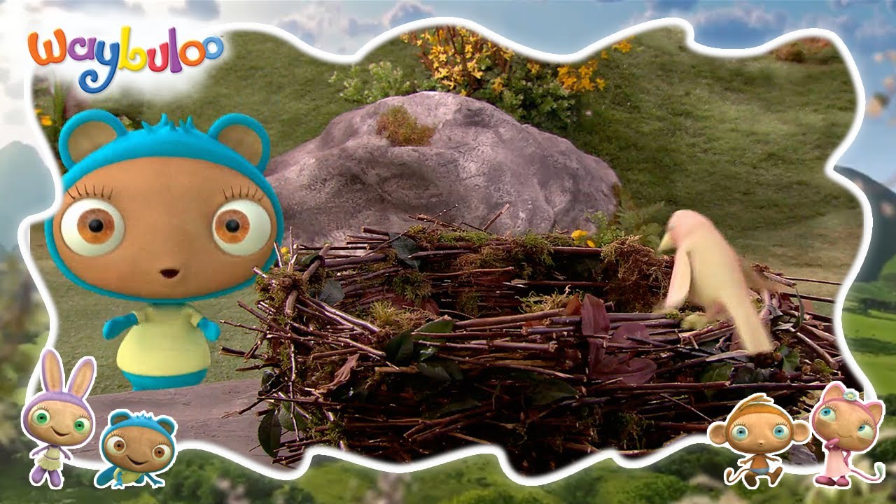 Waybuloo - FULL EPISODE 🧘🌳 Season 1, Episode 3 Neither Nest - YouTube