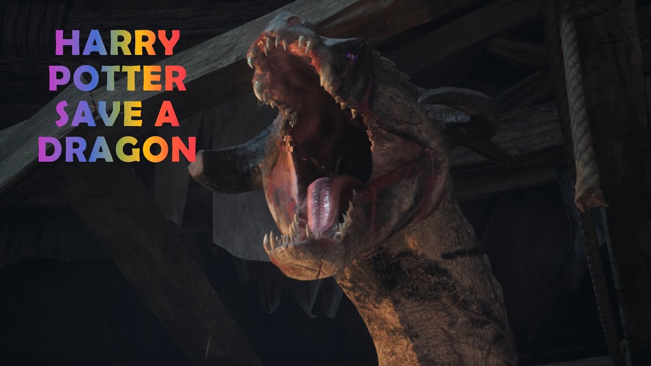 HARRY POTTER SAVE A DRAGON | Hogwarts Legacy Part 17 PC Gameplay - YouTube