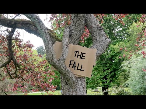 The Fall by Lovejoy - A Fan Made Music Video - YouTube