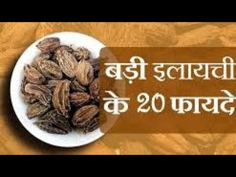 बड़ी इलायची के फायदे,badi elaychi ke fayde, benifits of black cardamom ...