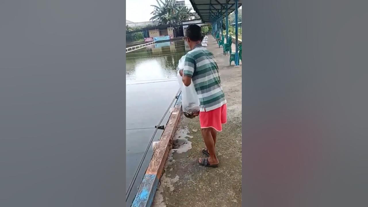 Tiket 600 2Joran Lomba Mancing ikan mas Babon ikan Rame - YouTube