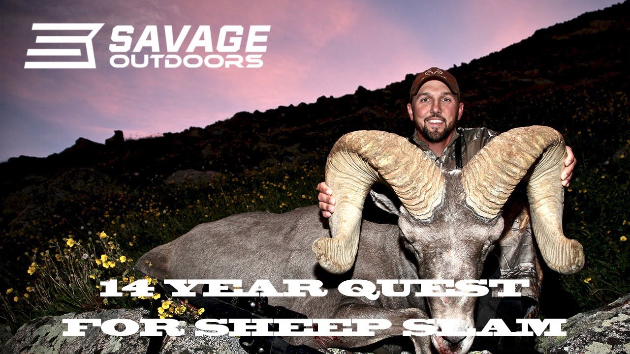 14 YEAR QUEST TO COMPLETE THE NORTH AMERICAN SHEEP SLAM! - YouTube