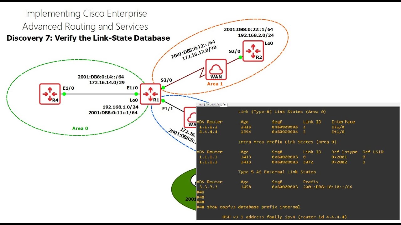 thinQtank Learning Live Stream - OSPF Link State Advertisements - YouTube