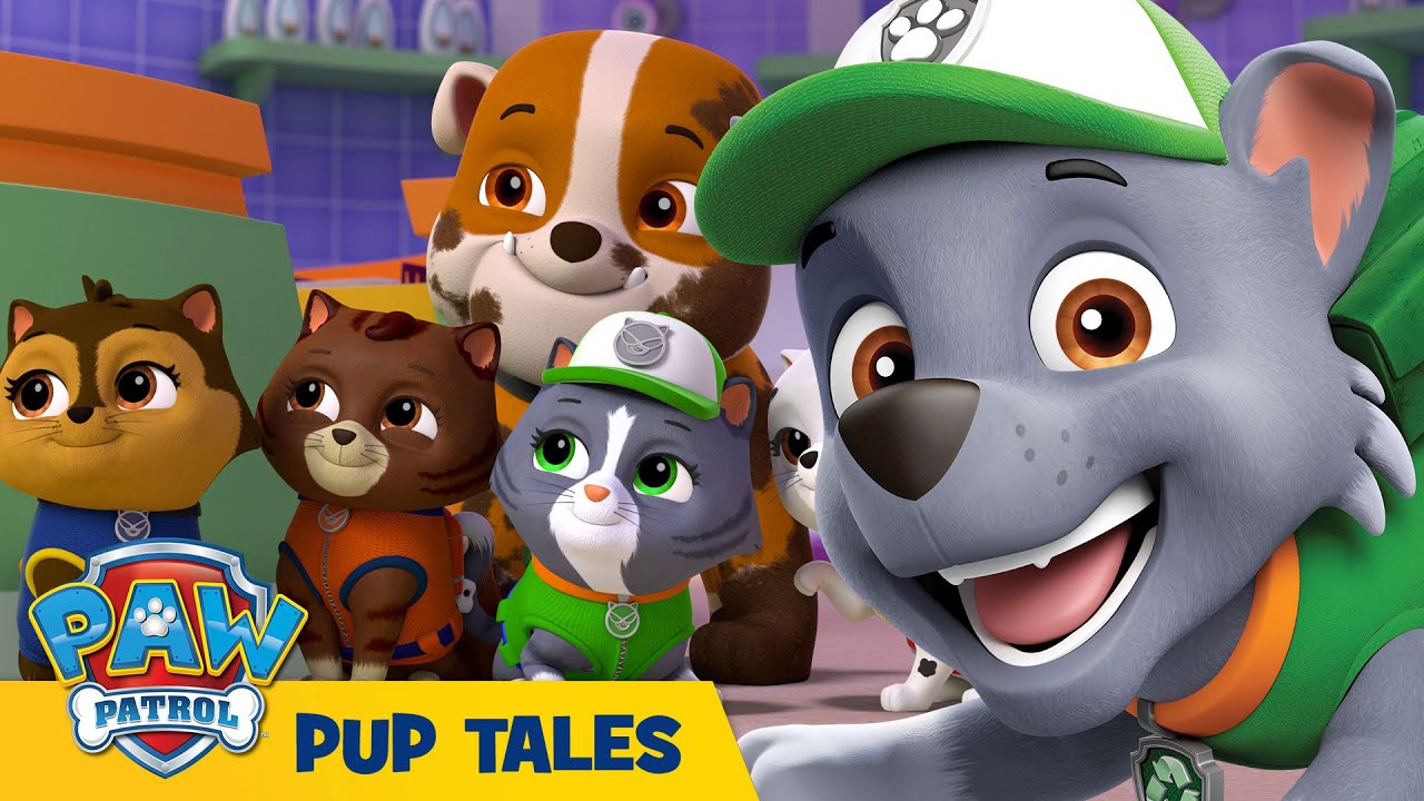 🐶 Pups Save the Runaway Kitties | PAW Patrol | Cartoons for Kids - YouTube