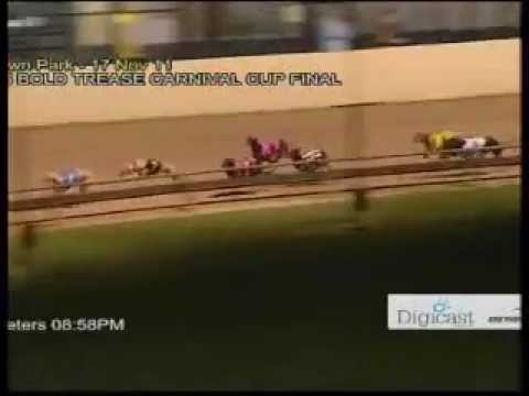 Bold Trease Carnival Cup.wmv - YouTube