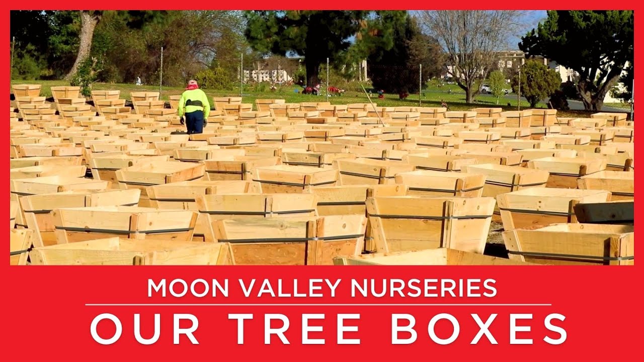 From Our Farms To Your Yard - How We Make & Recycle Our Tree Boxes ...