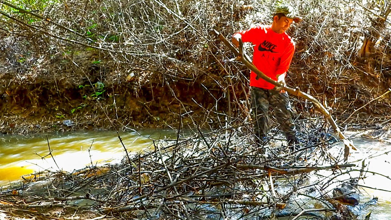 Remove Bamboo Branch And Debris Clogged Canal Drain - YouTube