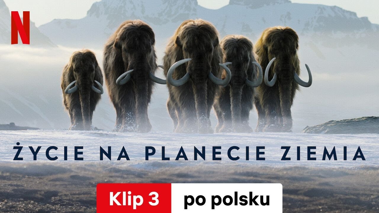 Życie na planecie Ziemia (Sezon 1 Klip 3) | Zwiastun po polsku ...