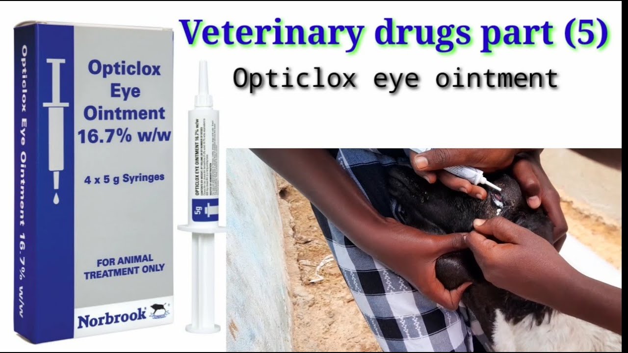 veterinary drugs part:5-Opticlox Eye ointment - veterinary somalia ...