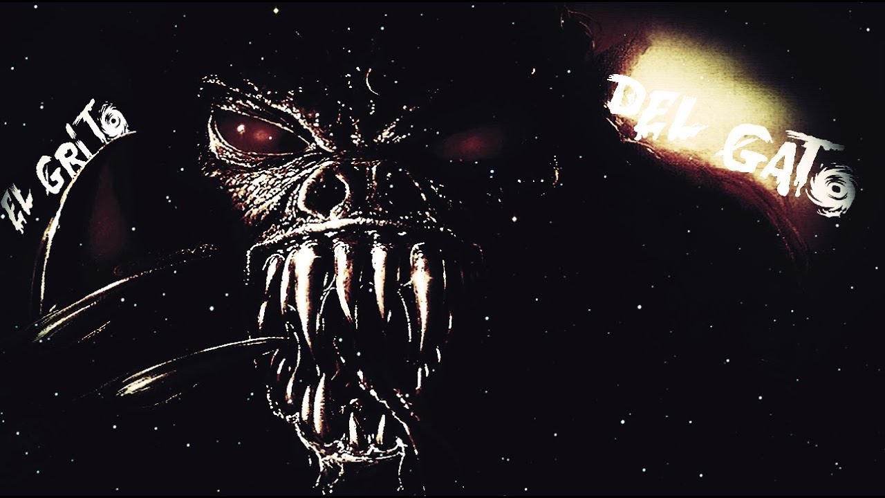 EL GRITO DEL GATO|CREEPYPASTA|HISTORIA DE TERROR - YouTube