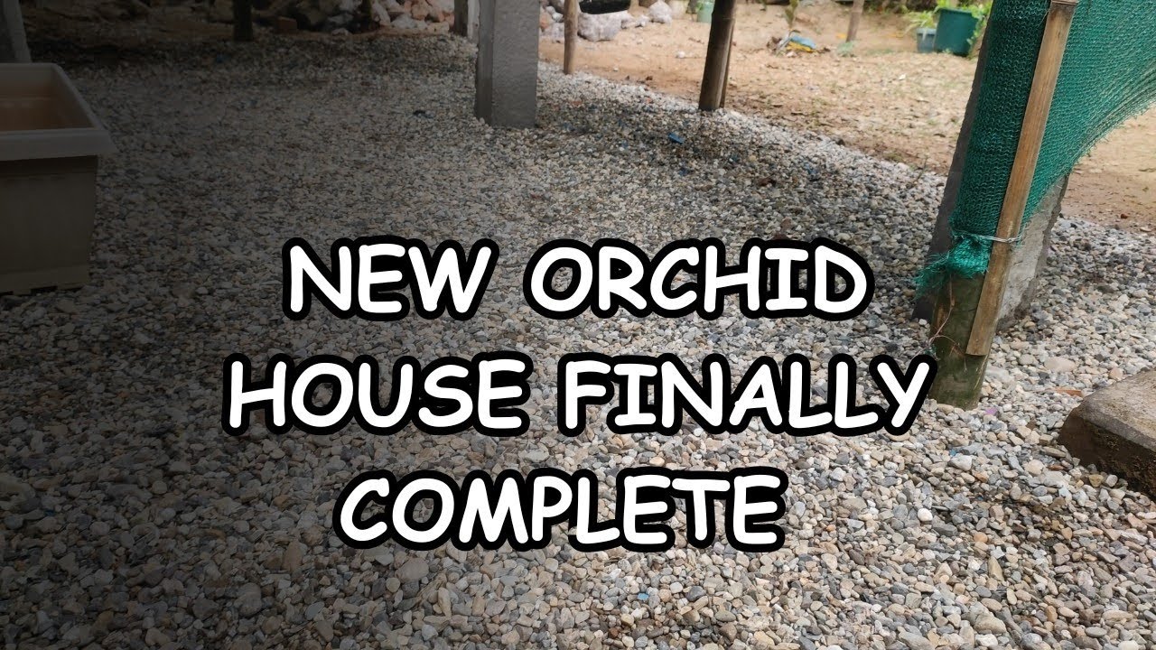 My new orchid house is finally complete! #garden #orchids - YouTube