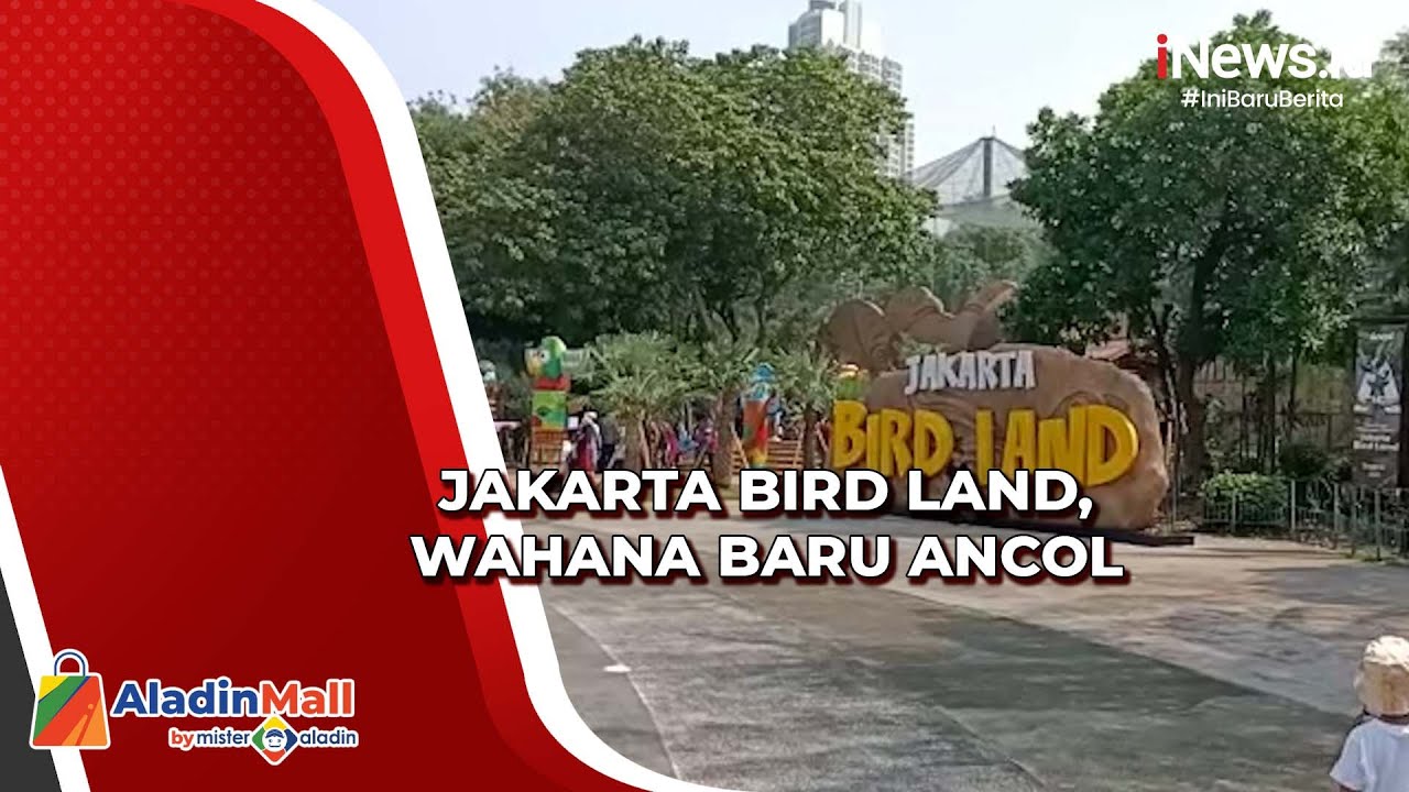 Jakarta Bird Land Wahana Baru Ancol, Manjakan Pengunjung dengan Ratusan ...