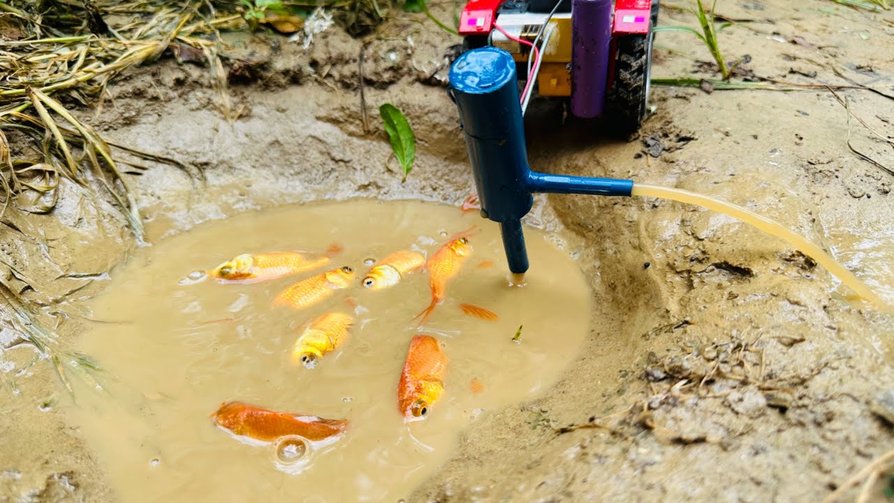 Catch Fish with Mini Water Pump! DIY Tractor Finds Fish with JCB Tech ...