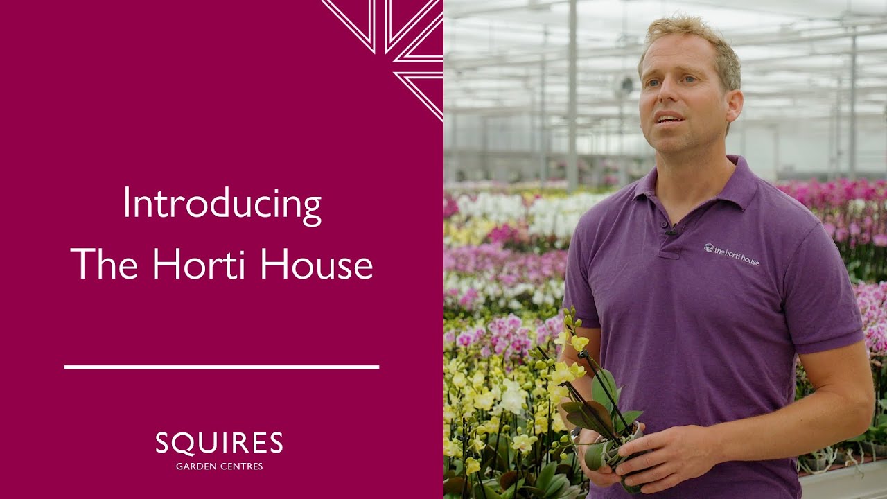 Introducing The Horti House | Meet the Maker - YouTube