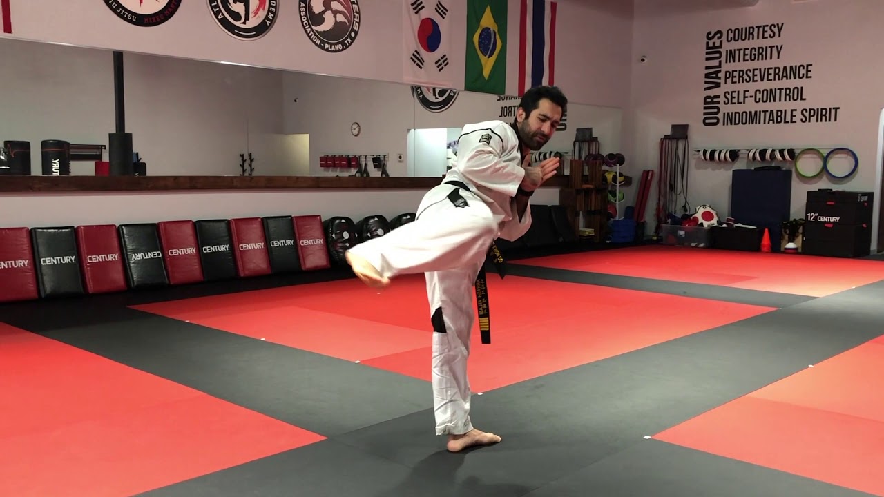 ITF Pattern 8 Hwa-Rang - YouTube