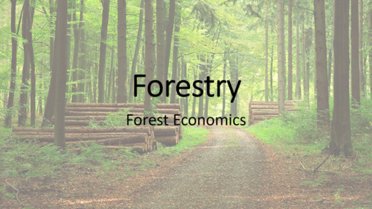 Forest economics - Indian Forestry - YouTube