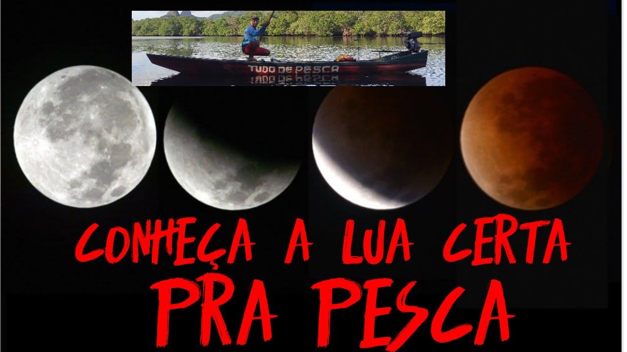 QUAL A MELHOR LUA 🌒 PRA PESCAR E CONHECER A MELHOR SOBRE PESCARIA 🎣 ...