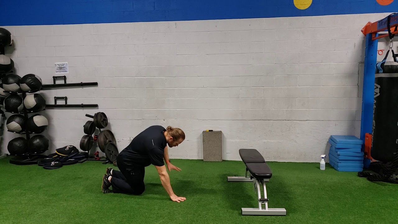 Push Up Position Hold - YouTube