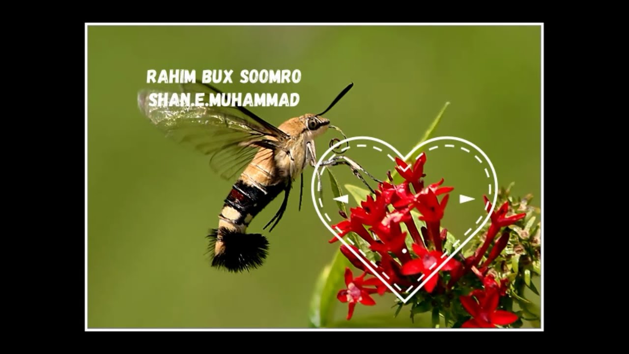 Moulana Raheem Bux Soomro.. - YouTube