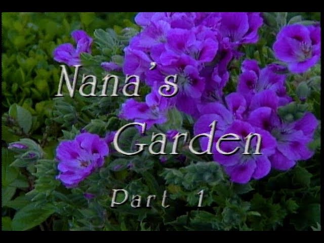 Nana S Flower Garden Quilt Pattern | Best Flower Site