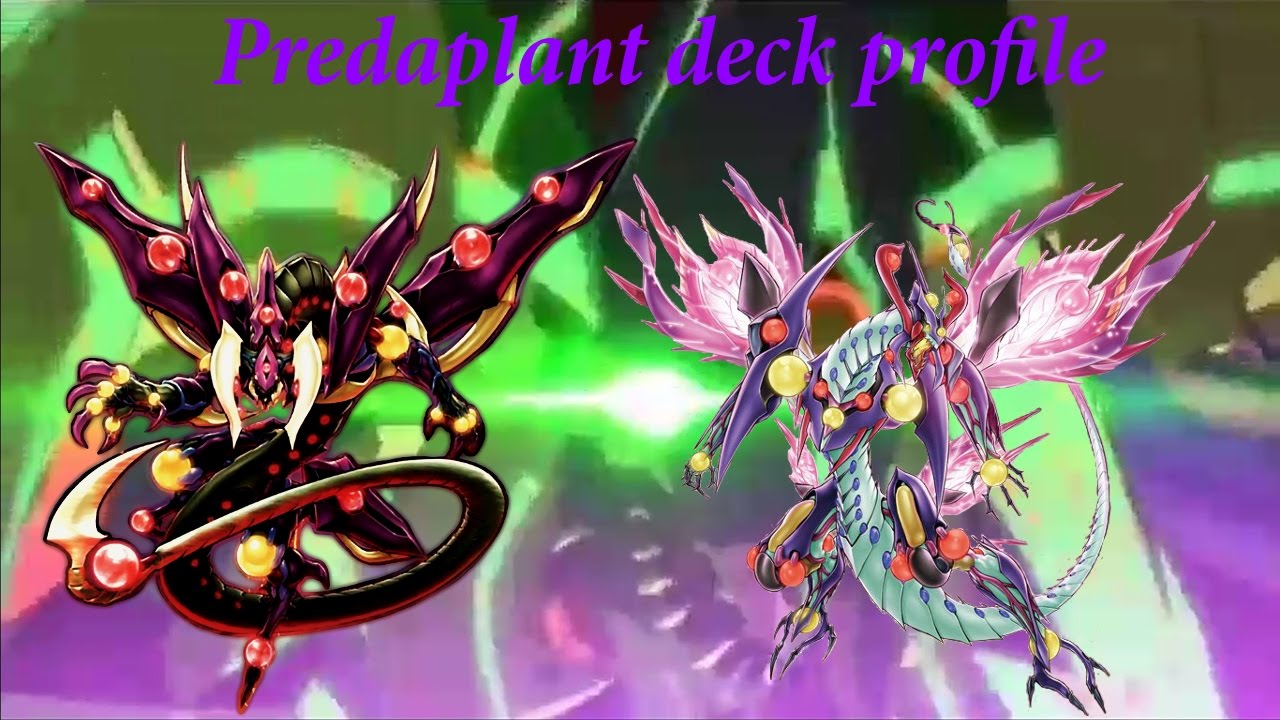 Predaplant deck profile April 2017 - YouTube