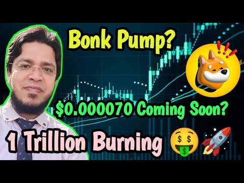 Bonk Price Drops! Massive Token Burn Ahead? | BONK Coin News Today ...