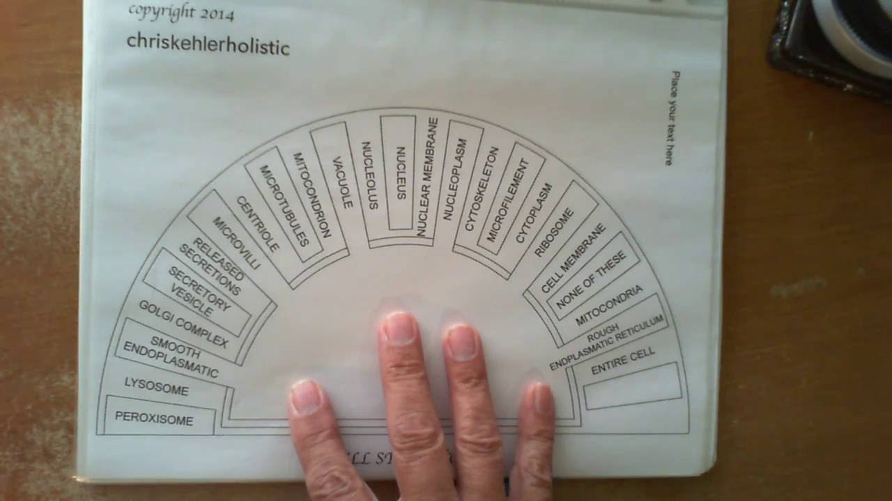 How to use the charts - YouTube