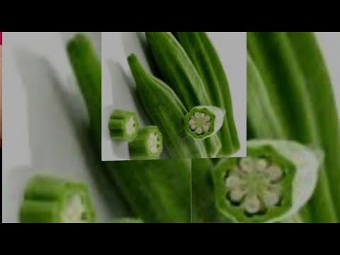 HOW TO COOK LADY FINGER IN TURKISH WAY - YouTube