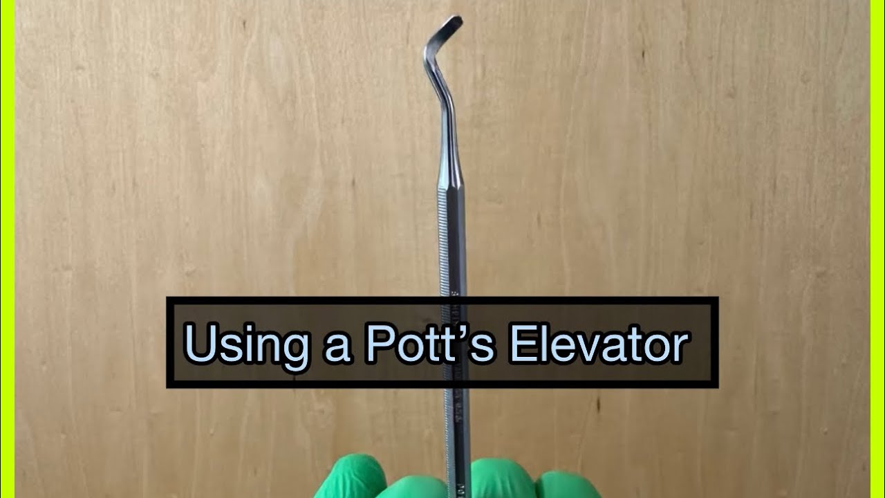 Useful Dental Extraction Instrument: Potts Elevator - YouTube