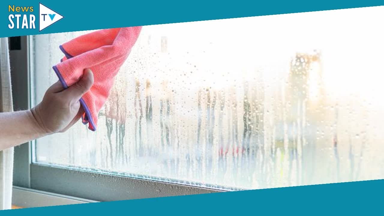 Plumbing expert names mould 'breeding ground' that's a bathroom ...