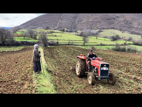 Köy Hayatı - Günlük Rutin Köy İşleri Türkiye - Köy Belgeseli