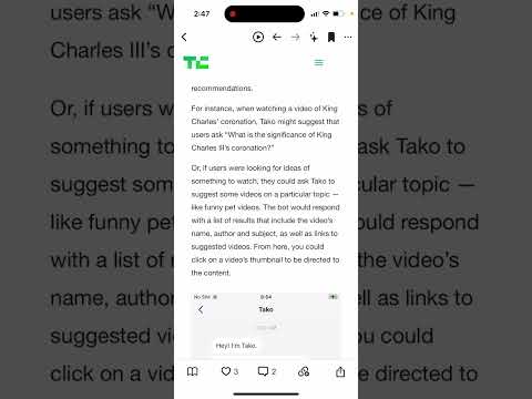 TIKTOK TAKO AI BOT - what is it? Full overview